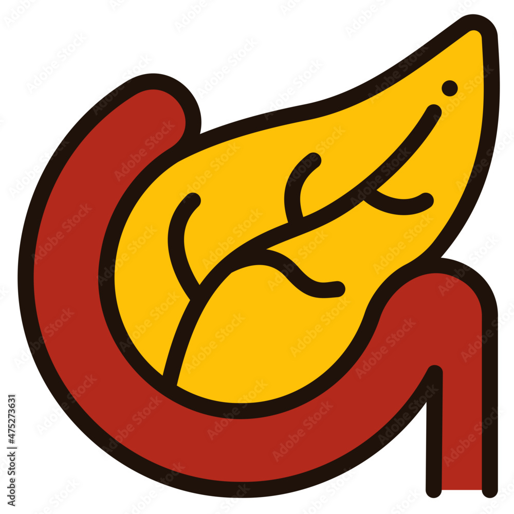 pancreas filled outline icon Stock Vector | Adobe Stock