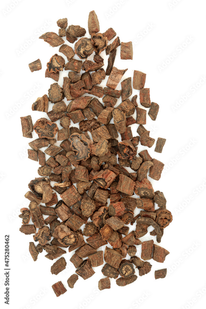 Red sage root herb used in traditional Chinese herbal plant medicine ...