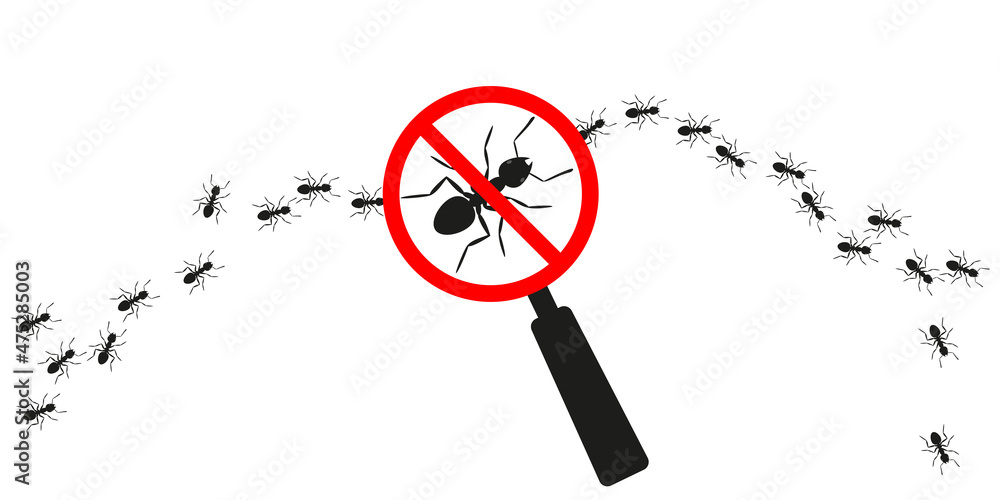 Marching ants with magnifying glass. Warning sign no insect. Anti ant ...