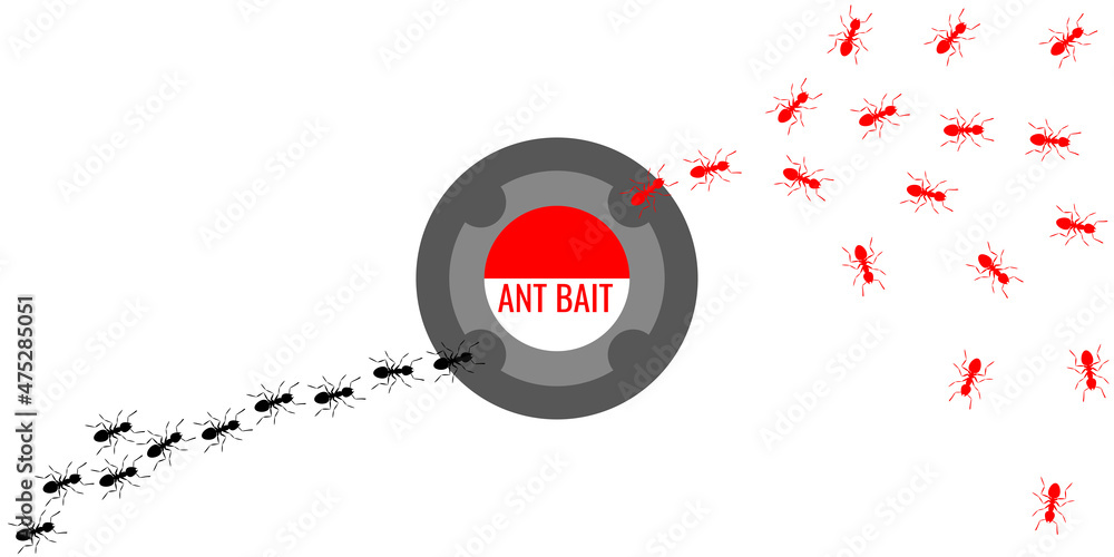 Ant trap with infected ants. A line of marching insects. Illustration ...