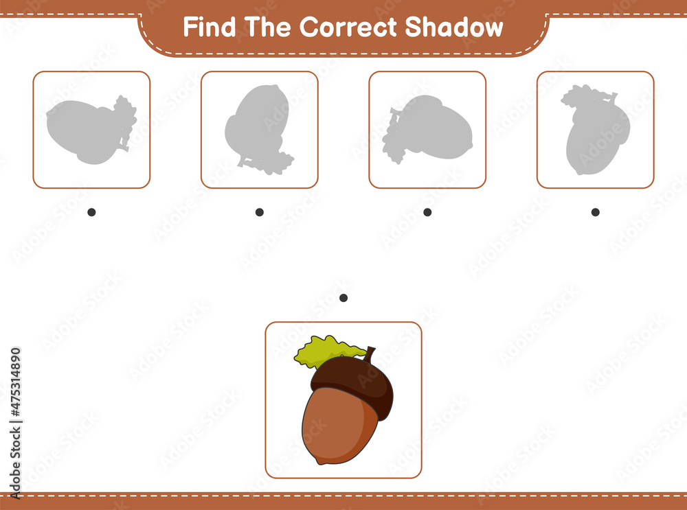 Find the correct shadow. Find and match the correct shadow of Acorn ...