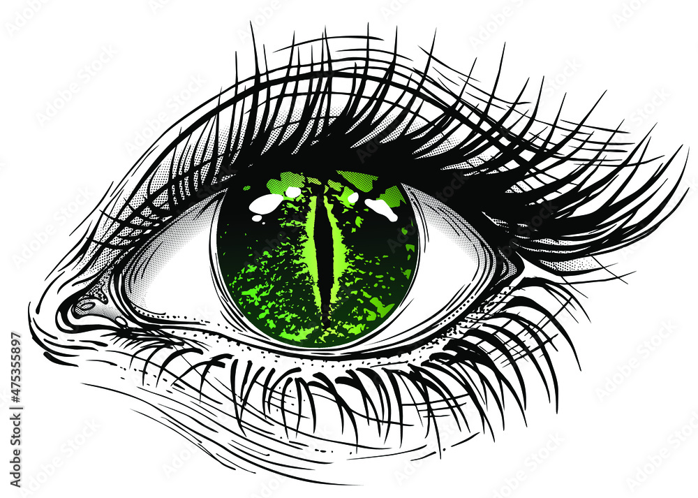 Isolated vector illustration of human eye with reptile snake iris ...