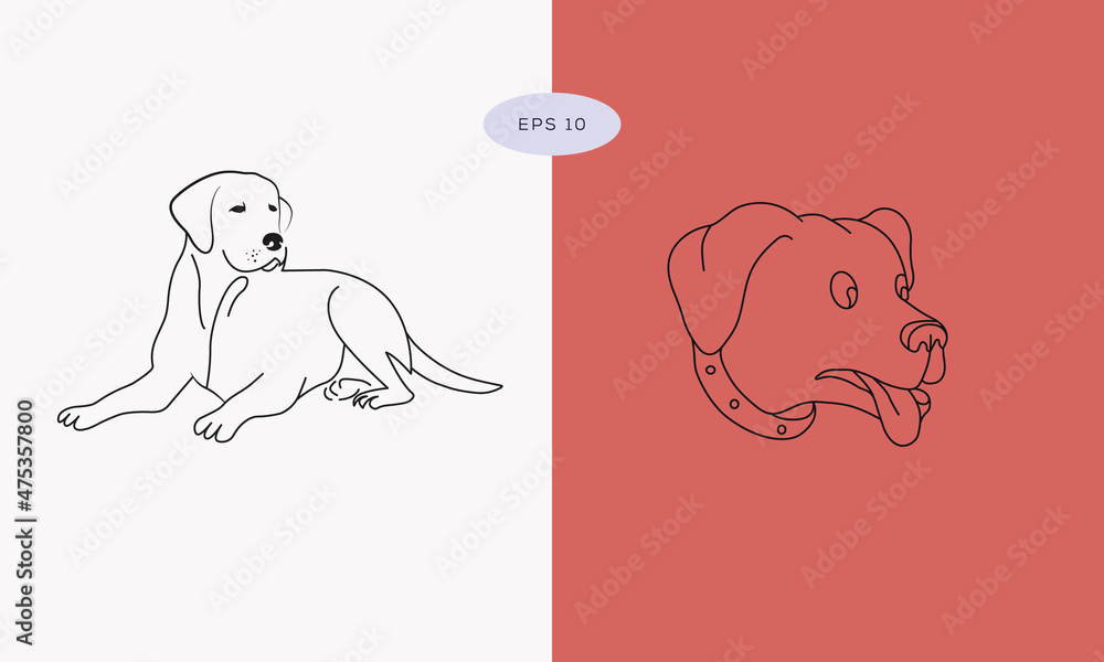 Collection in different poses in free hand drawing Vector illustration ...