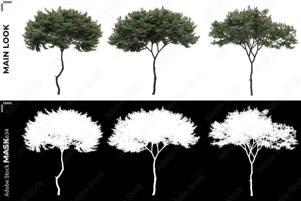 Front views of Generic Trees with alpha mask to cutout and PNG editing ...