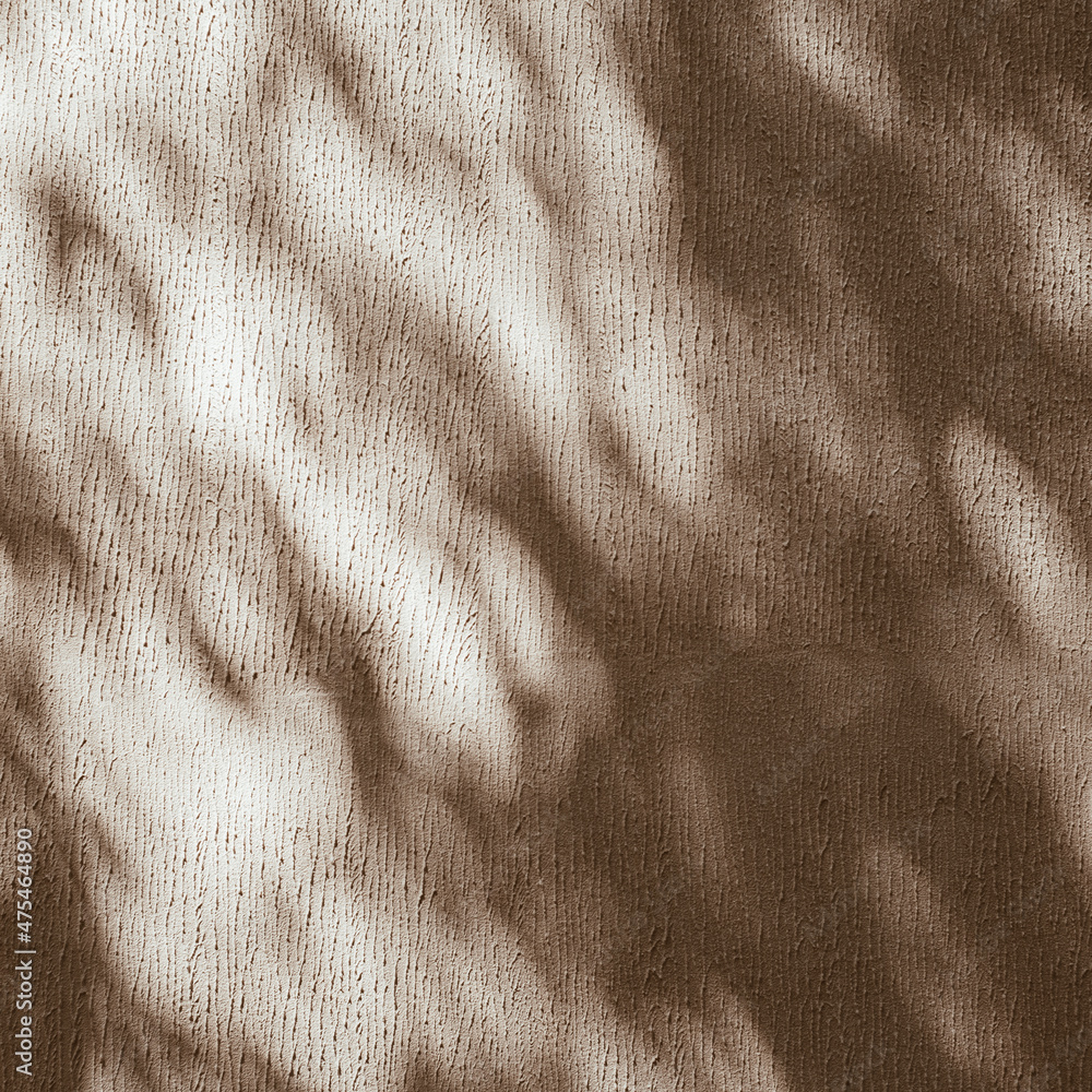 Abstract tree and leaves branch sunlight shadow background on neutral ...