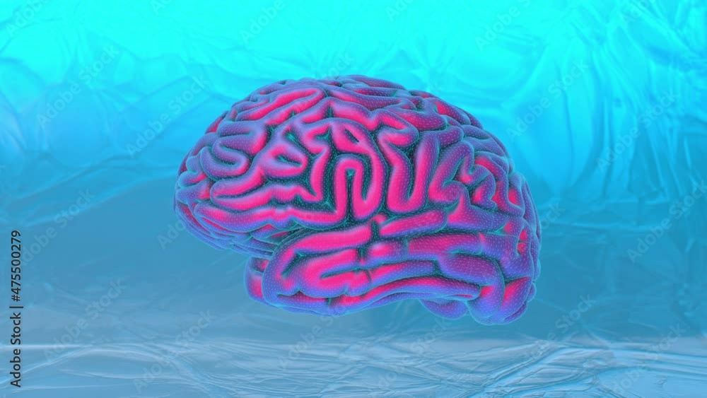 Human brain frozen with wireframe rotating in 3D abstract art video ...