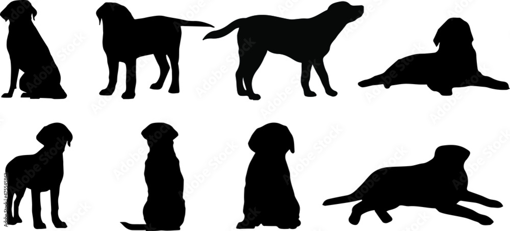 Labrador Retriever Dog Silhouette Bundle SVG Stock Vector | Adobe Stock