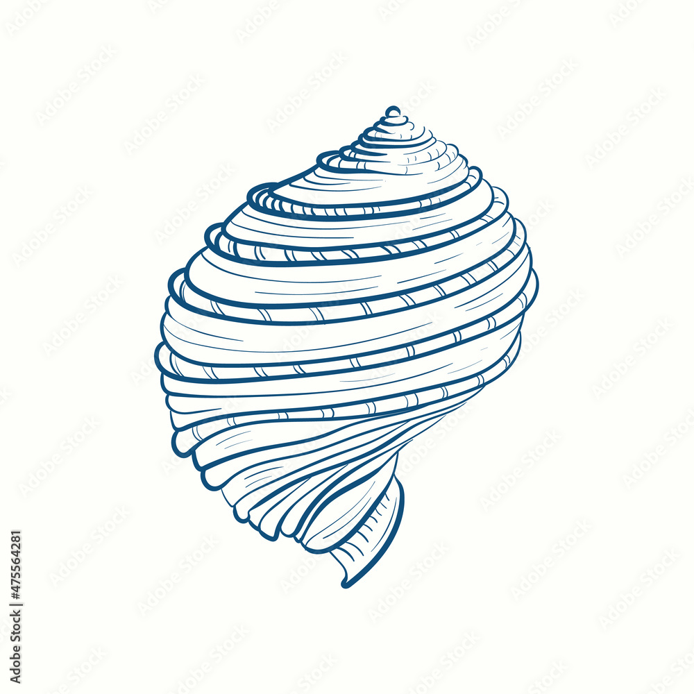 Hand-drawn realistic seashells. Shells of mollusks of various forms ...