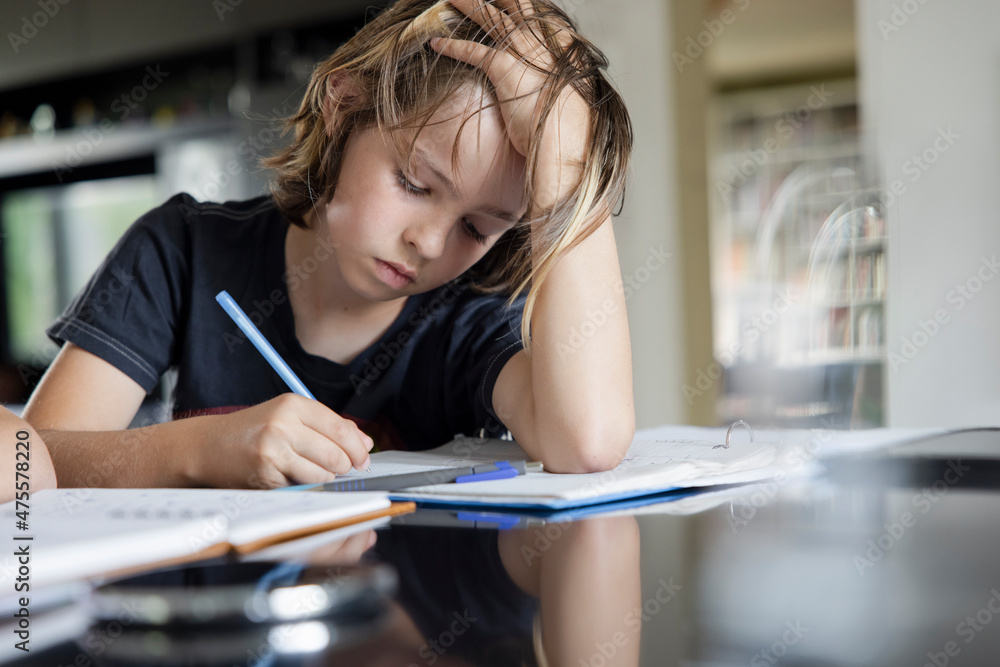 Focused tween boy doing homework at counter Stock Photo | Adobe Stock