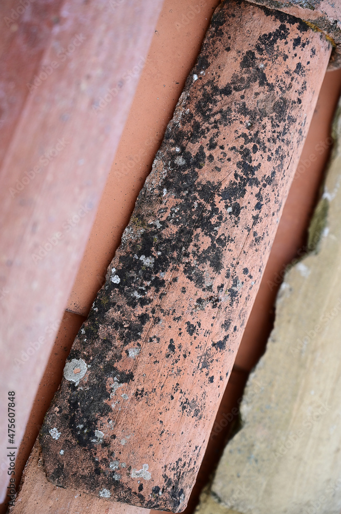 Old roof tiles with mold and mildew. Tiled roof background. Old red ...