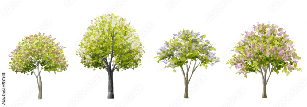 Vector of abstract watercolor tree side view isolated on white ...