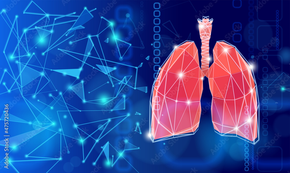 Lungs illustration showing connections using lines and triangles for a ...