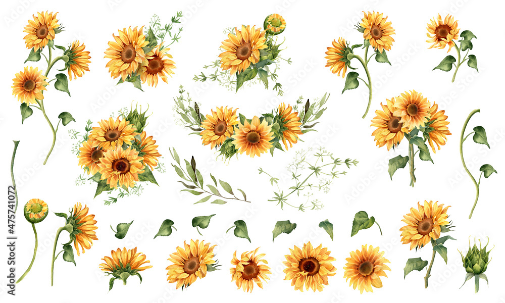 Sunflower clipart. Watercolor floral illustration. Yellow flowers for ...
