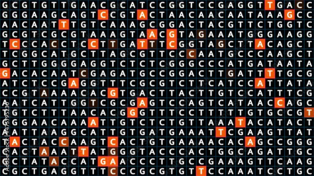 Loopable: Genetic mapping DNA sequence analysis abstract background ...