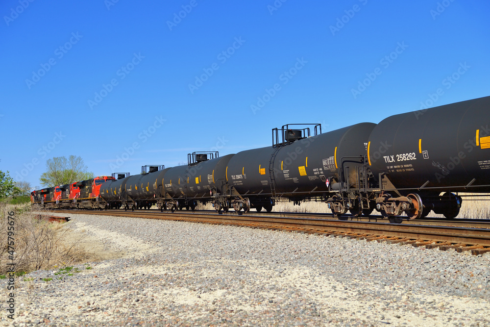Four Canadian National Railway locomotives lead a unit freight train of ...