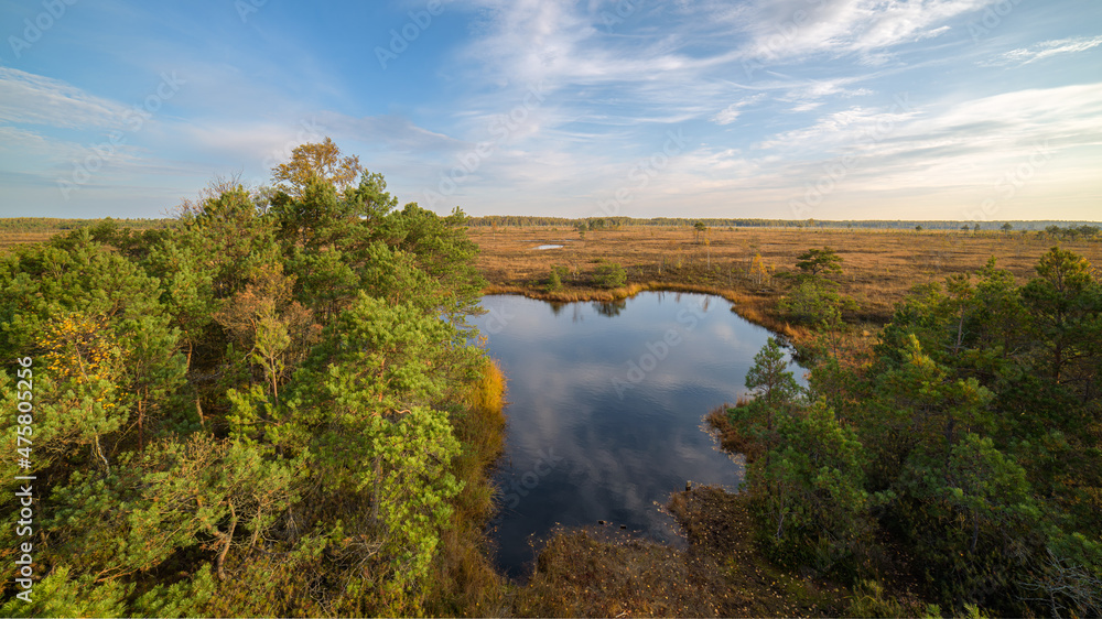 Aukštumala swamp - high swamp in Šilutė district, Pomeranian region. It ...