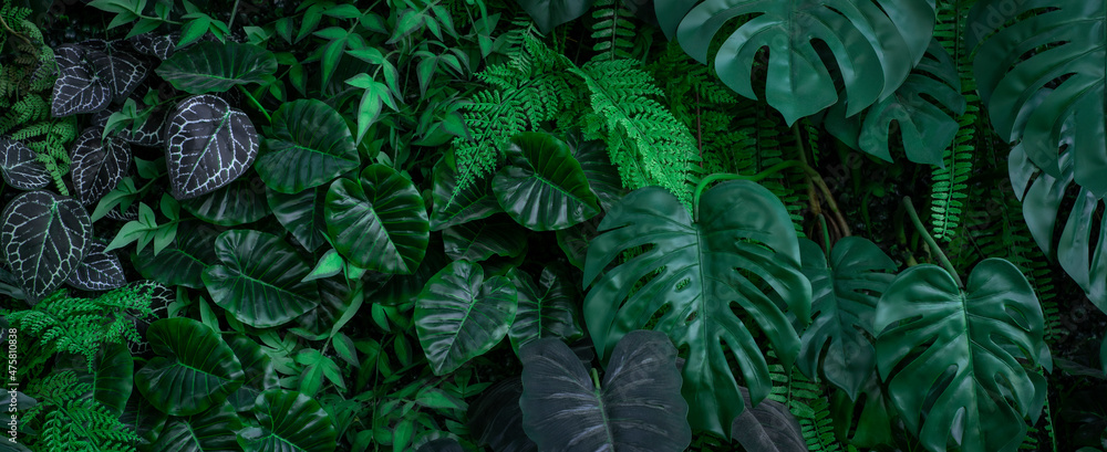 Creative Nature Wallpapers For Desktop