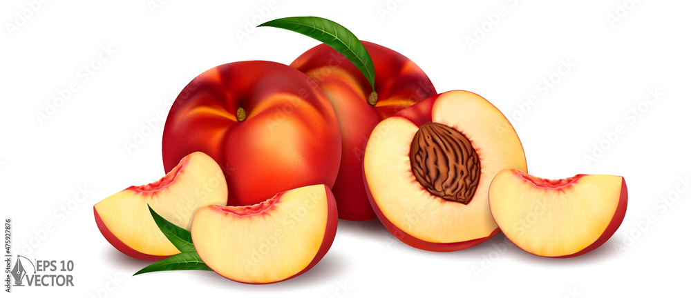 Realistic ripe nectarines, peaches, whole, half and slice. Group of ...