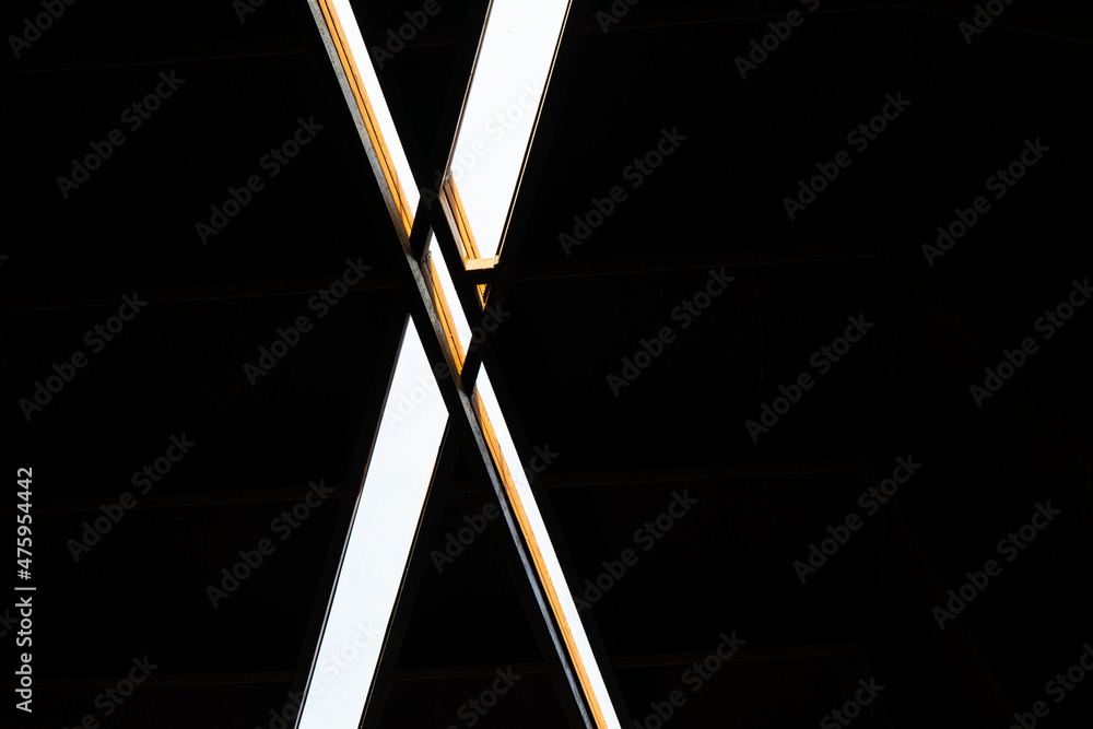 Roof light for installing skylights, x shape to maximize use of ...