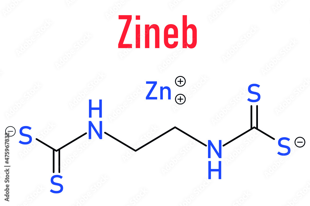Vetor de Zineb zinc organosulfur fungicide molecule. Skeletal formula ...