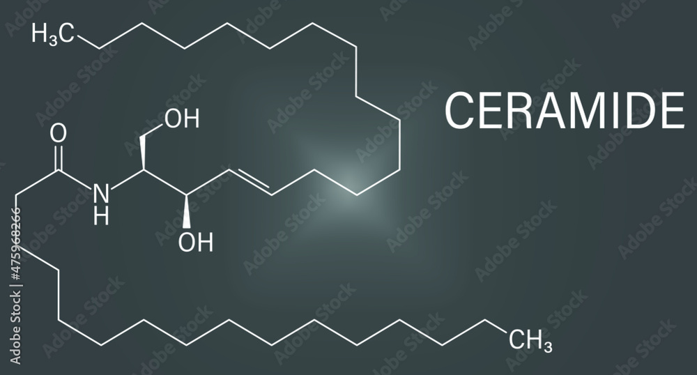 Ceramide cell membrane lipid molecule. Skeletal formula. Stock Vector ...