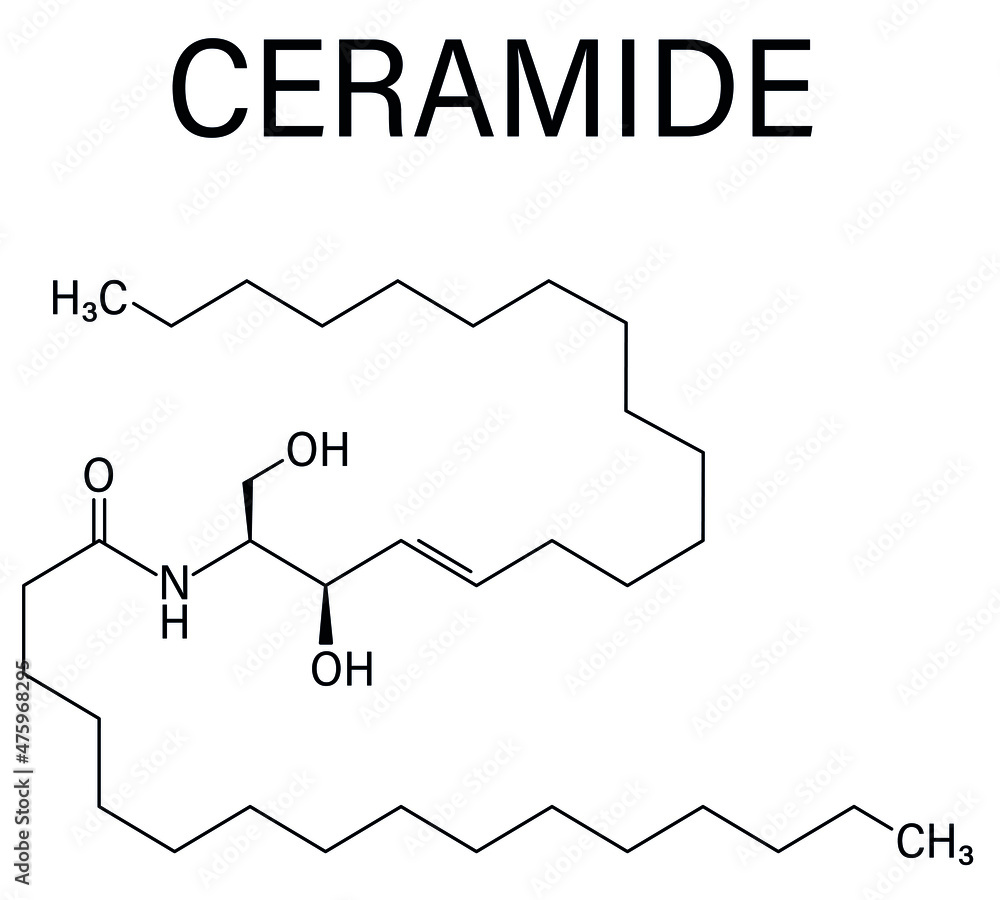 Ceramide cell membrane lipid molecule. Skeletal formula. vector de ...