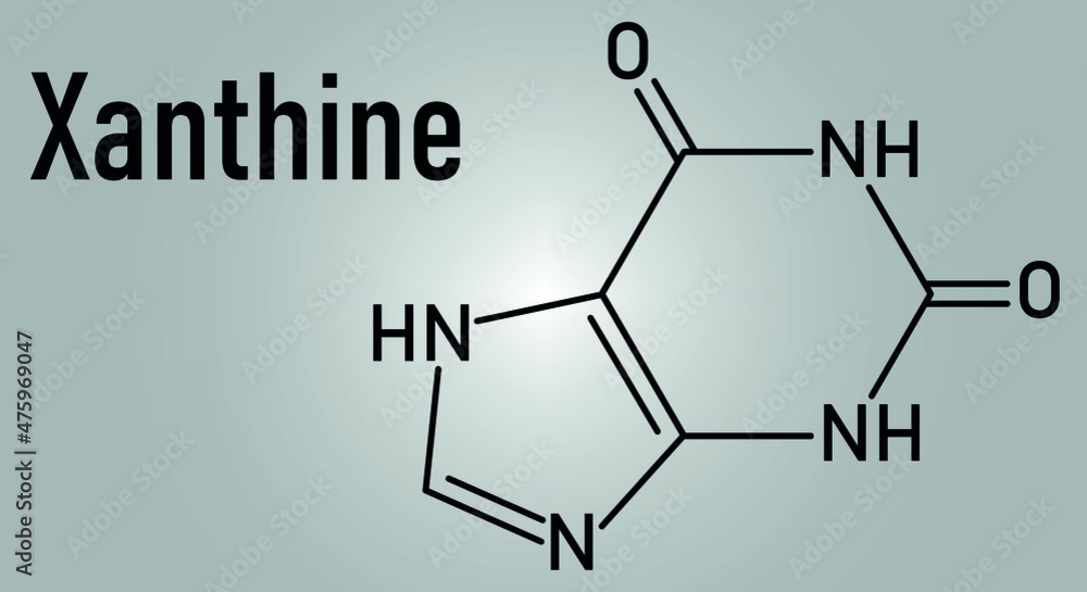 Xanthine purine base molecule. Skeletal formula. Stock Vector | Adobe Stock