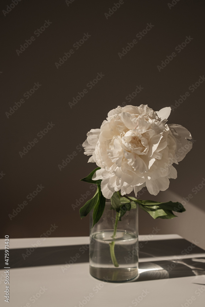 Flower In Vase On Table