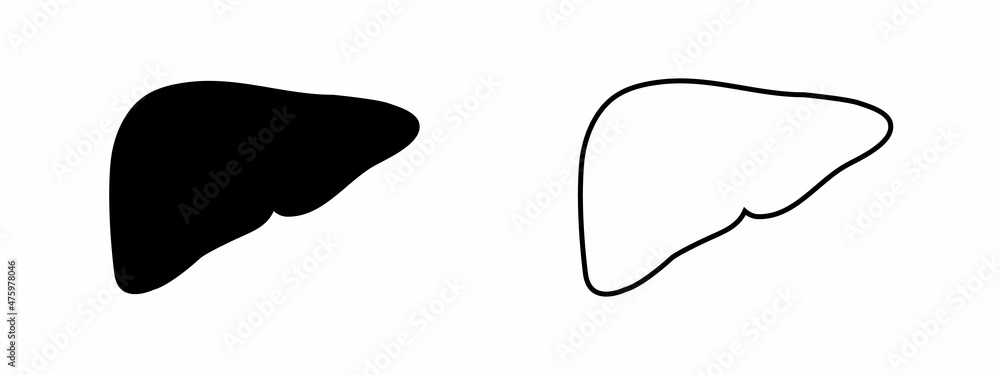 Liver icon vector design in flat style. Human organ isolated on white ...