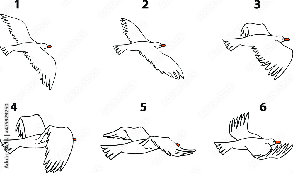 Flying bird animation frames for cartoon designs vector graphic Stock ...