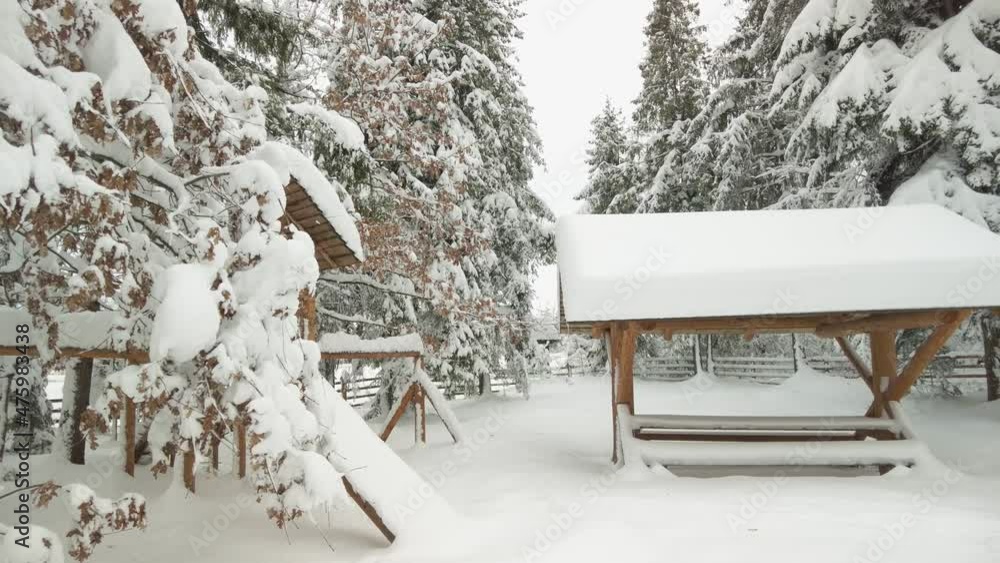 Fresh clean snow fell at the beginning of winter, covered forests ...