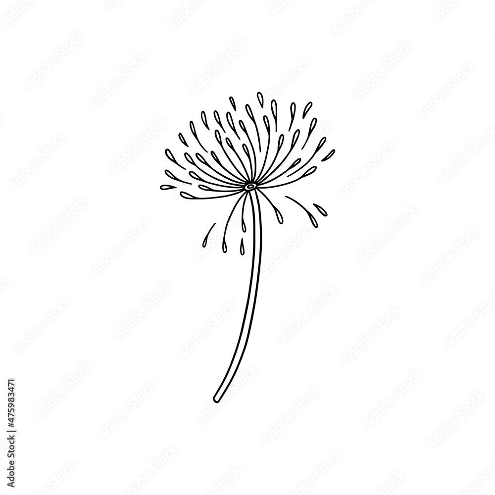 Dandelion flower with seeds in hand drawn outline doodle, vector ...