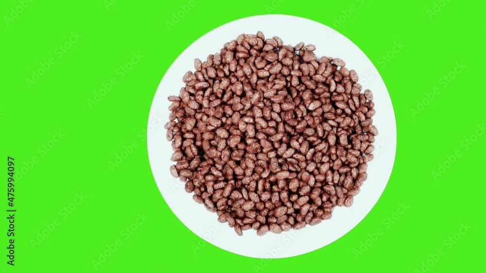 Chocolate rice - popcorn-shaped chocolate flakes in a plate made of ...