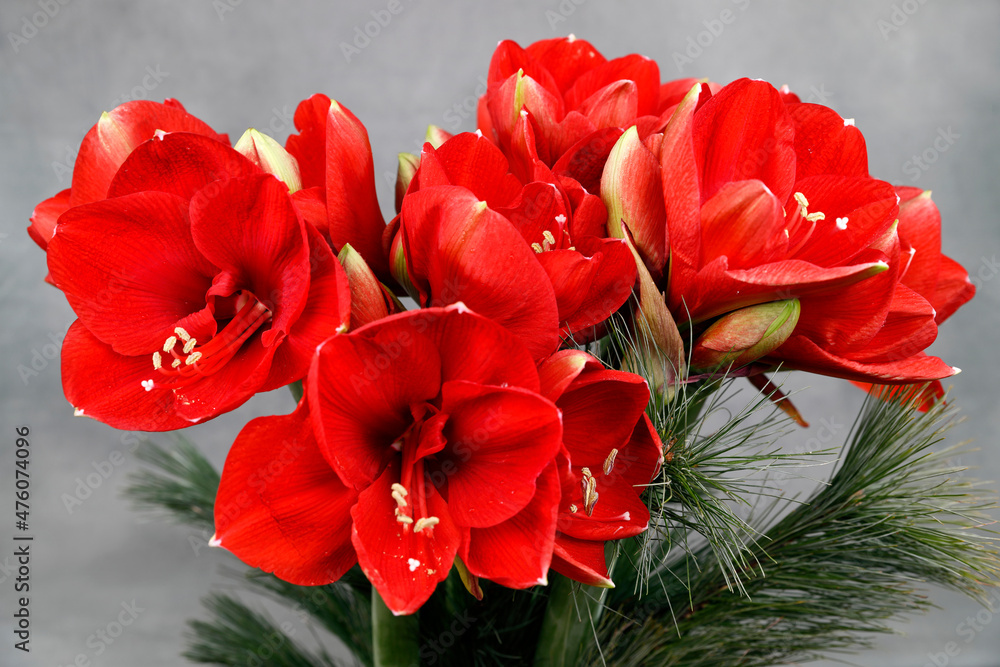Blumenstrauss Mit Amaryllis