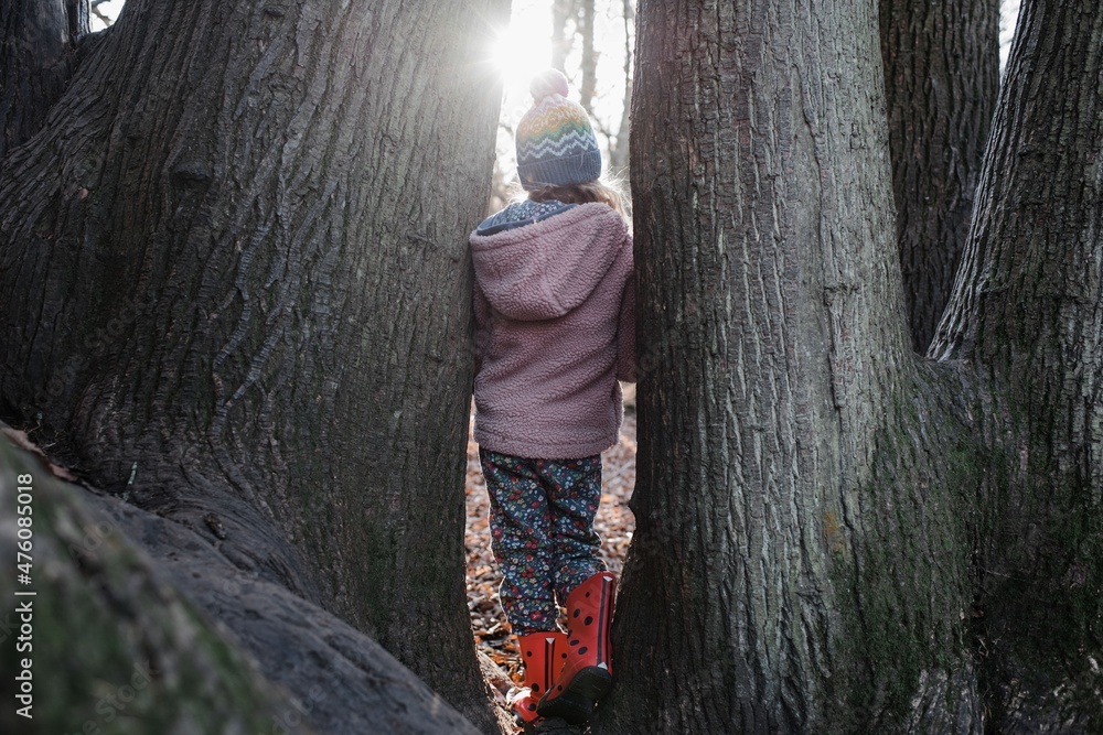 child standing between trees in a forest at sunset in winter Stock ...