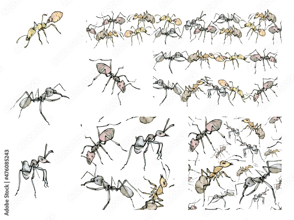 Watercolor illustration ants set, clip art, seamless patterns, stripes ...