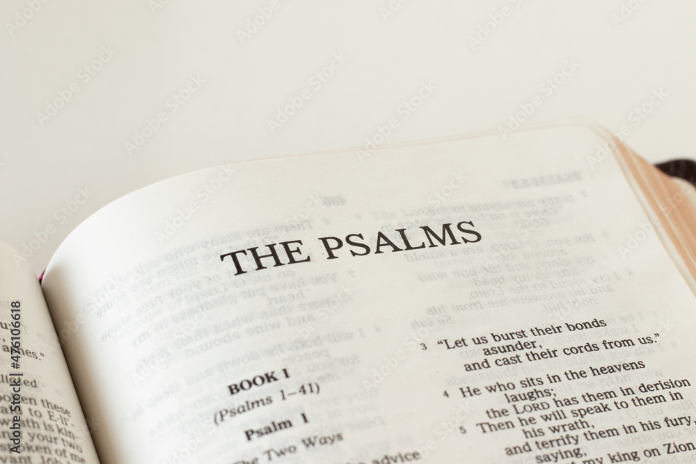 Open Holy Bible Psalms Book Old Testament Scripture on white background ...