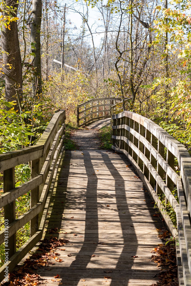 Wooden bridge on nature walk through forest in Rondeau Provincial Park ...