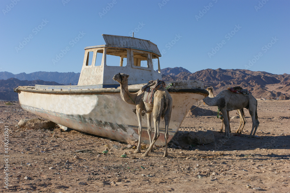 Abandoned Ships In Desert
