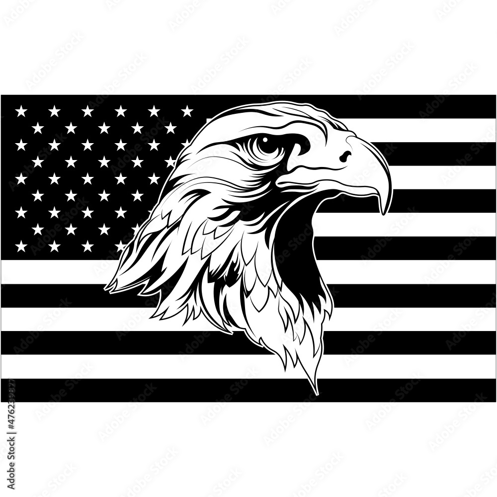 American Eagle Head Design