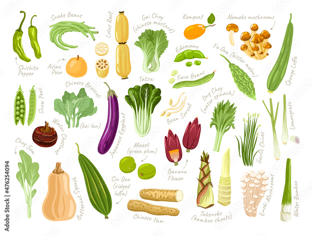 Exotic Root Vegetables