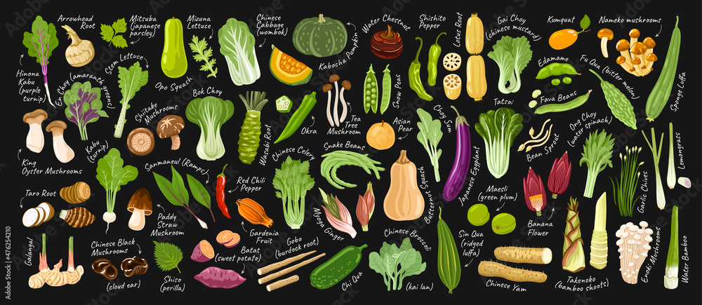 Asian Vegetables Names