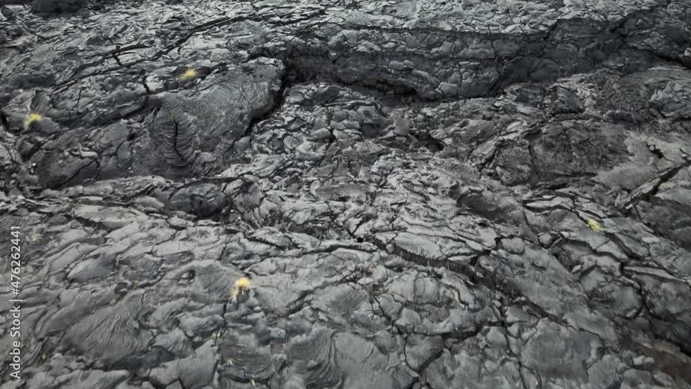 Chain of Craters Road in Hawaii Volcanoes National Park is vivid with ...