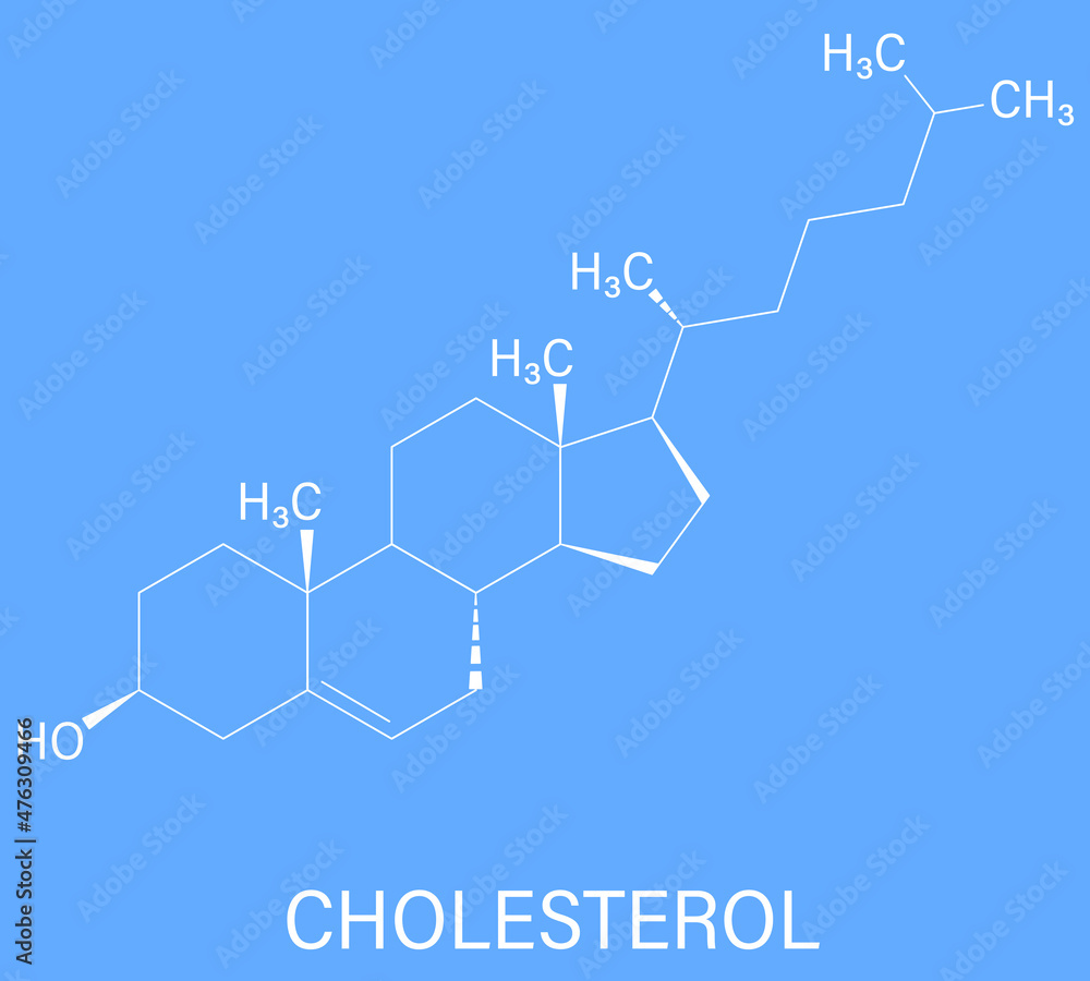 Cholesterol molecule. Essential component of cell membranes and ...
