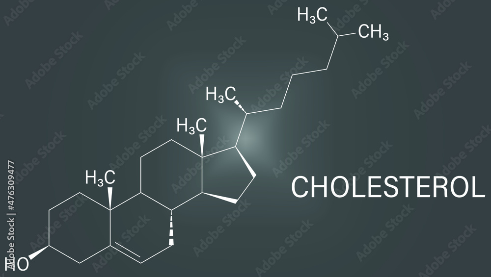Cholesterol molecule. Essential component of cell membranes and ...