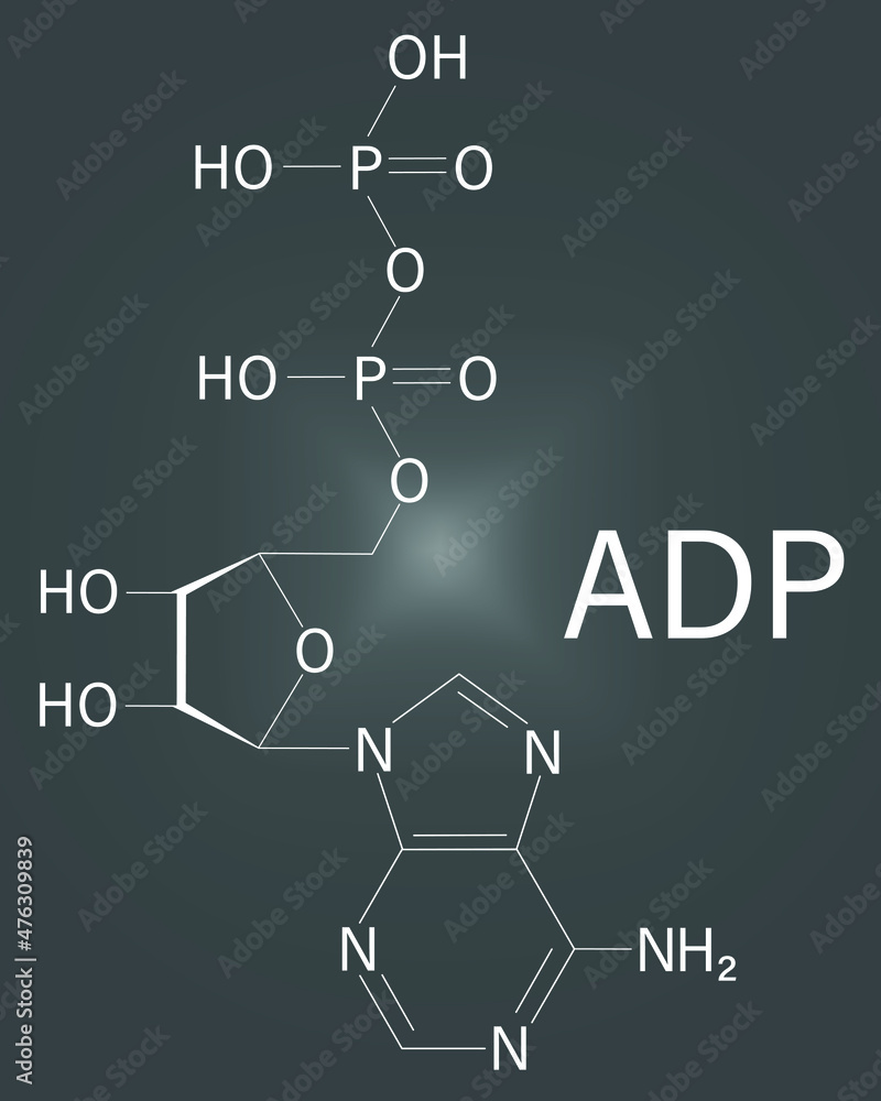 Adenosine diphosphate or ADP molecule. Plays essential role in energy ...