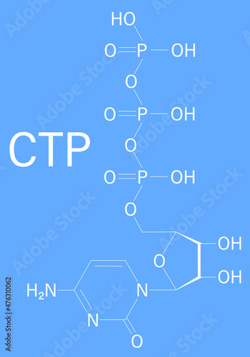 Ctp Structure