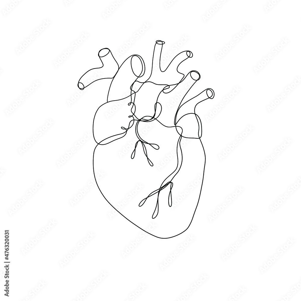 One line hand drawn anatomic medicine heart. Vector minimalist ...