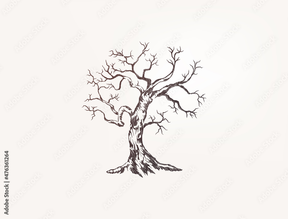 drought tree vector illustrations. printable image with dry tree ...