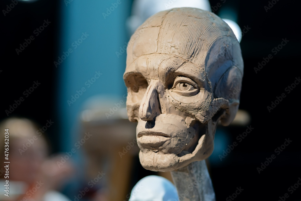 Foto de The process of creating ecorche. The sculptor is working ...